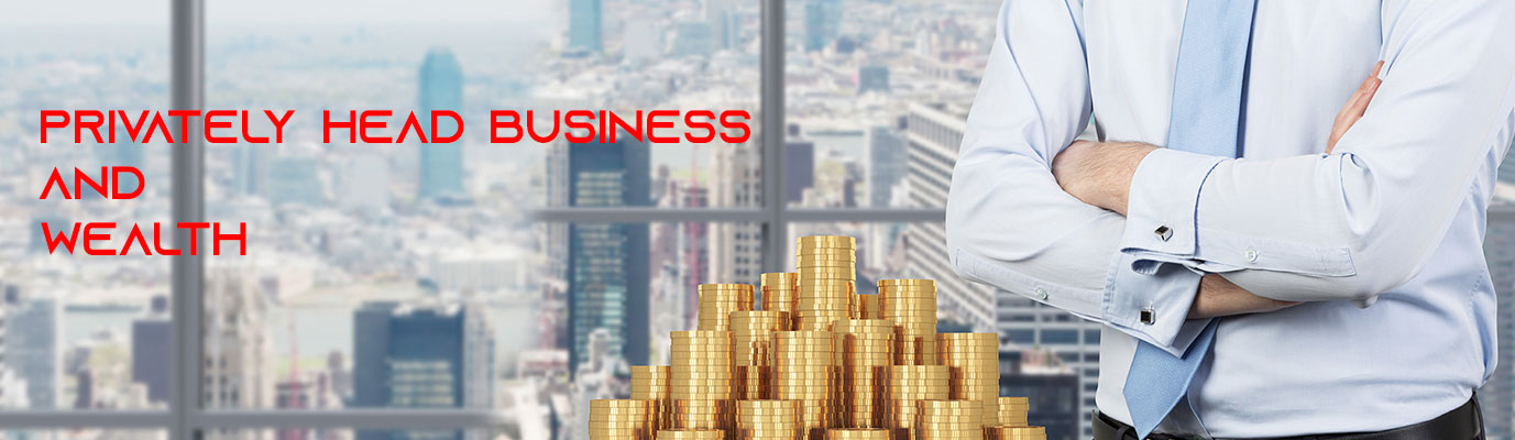 Privately Head Business and Wealth – SAE Tax and Accounting
